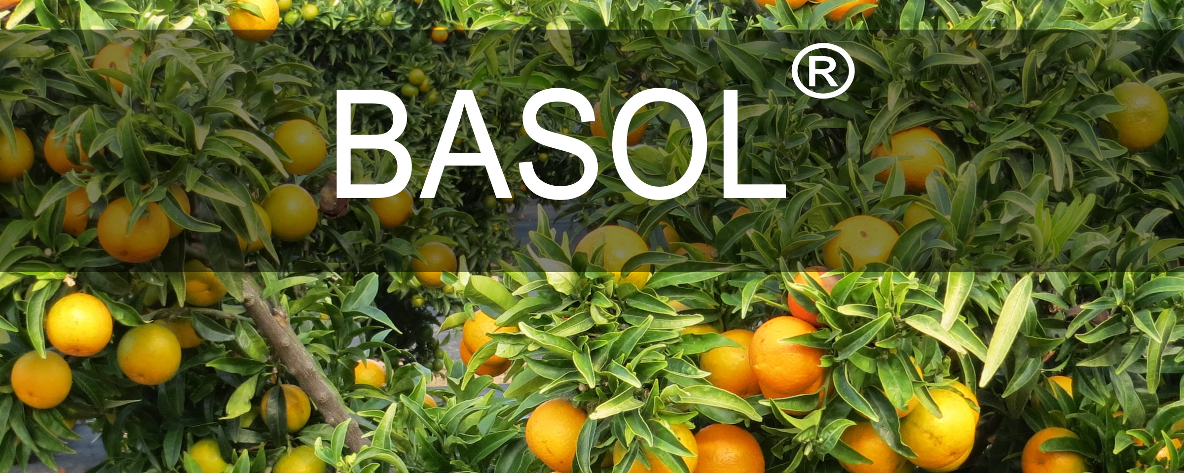 Basol ® - Viveros Caliplant